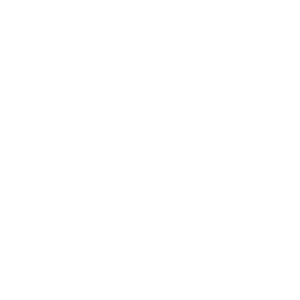 About ACE - ACE NZ